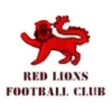 Nyasa Big Bullets vs Red Lions Live Score & Result | ODDSLOT